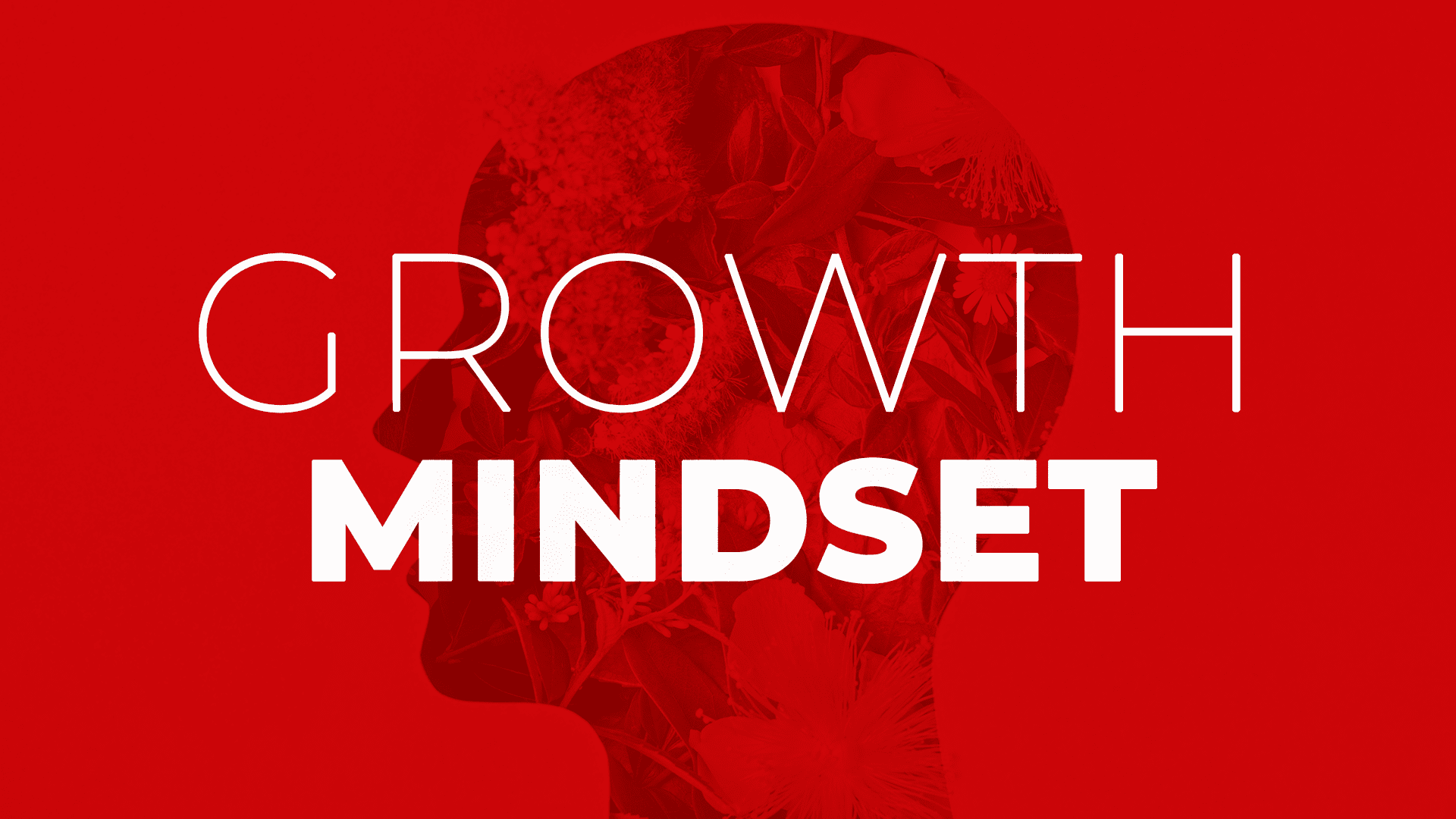 Growth Mindset - Team Performance Institute